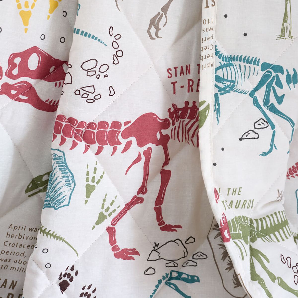 dino explorer multi multi 150x200