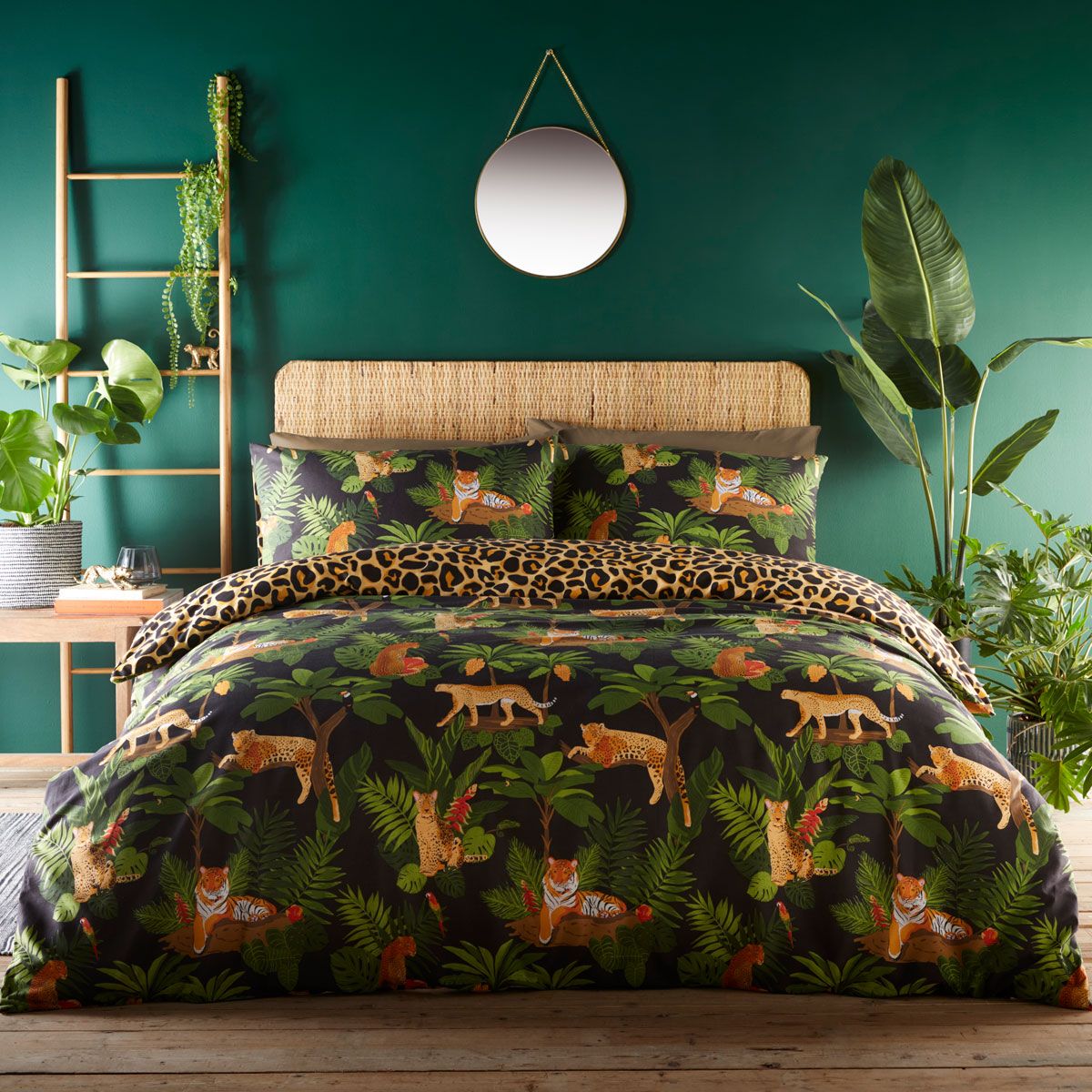 Jungle Cats Multi XCBDS